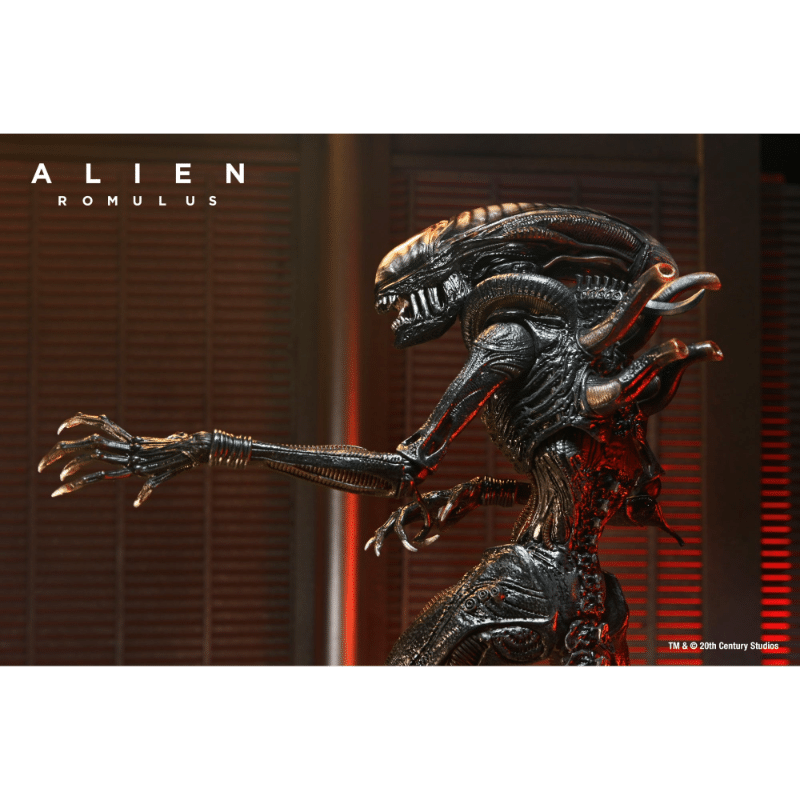 ULTIMATE SCORCHED XENOMORPH ALIEN ROMULUS - FRIKANIME