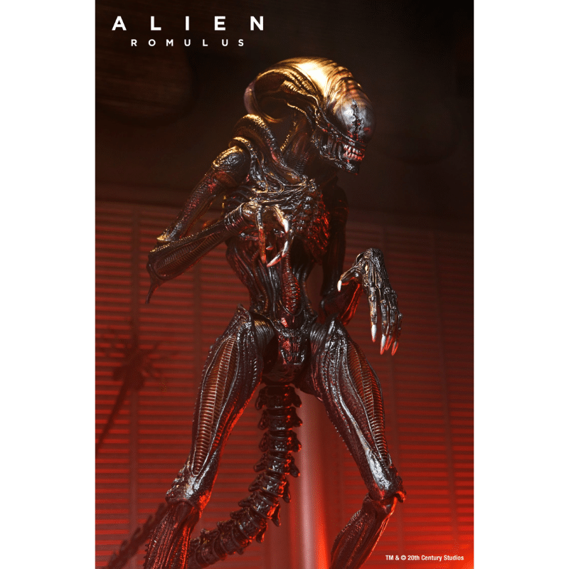 ULTIMATE SCORCHED XENOMORPH ALIEN ROMULUS - FRIKANIME