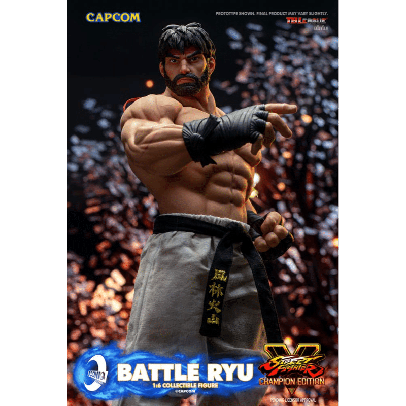 BATTLE RYU STREET FIGHTER 1/6 - FRIKANIME