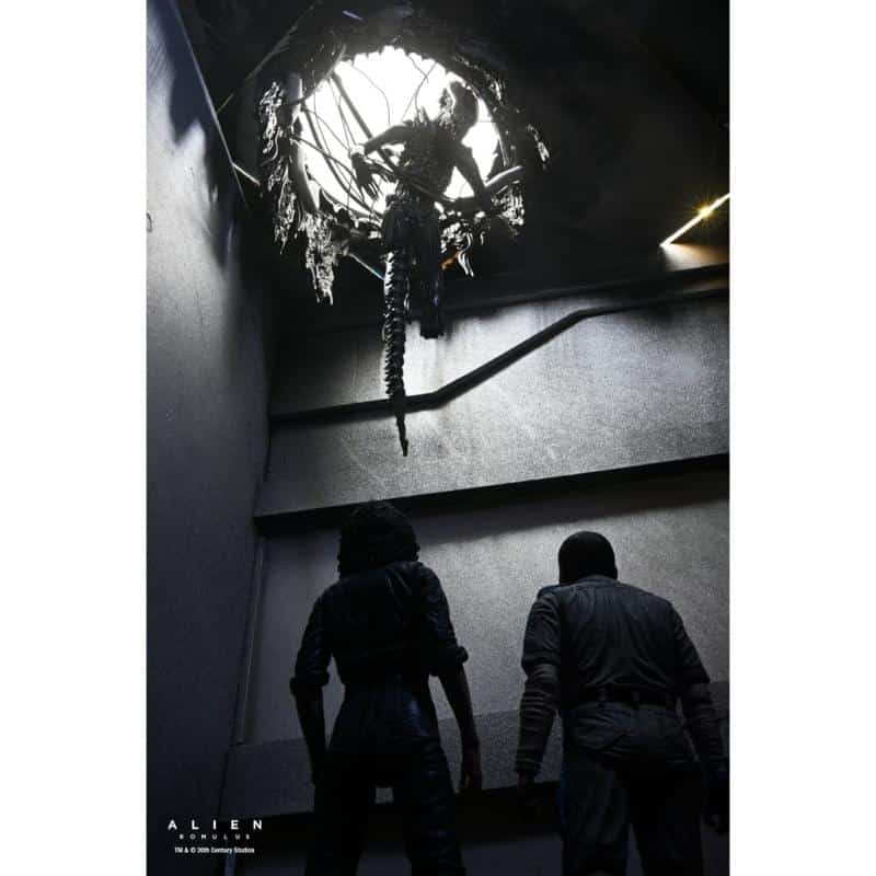 Deluxe Suspended Lab Xenomorph XX121 Alien: Romulus - FRIKANIME